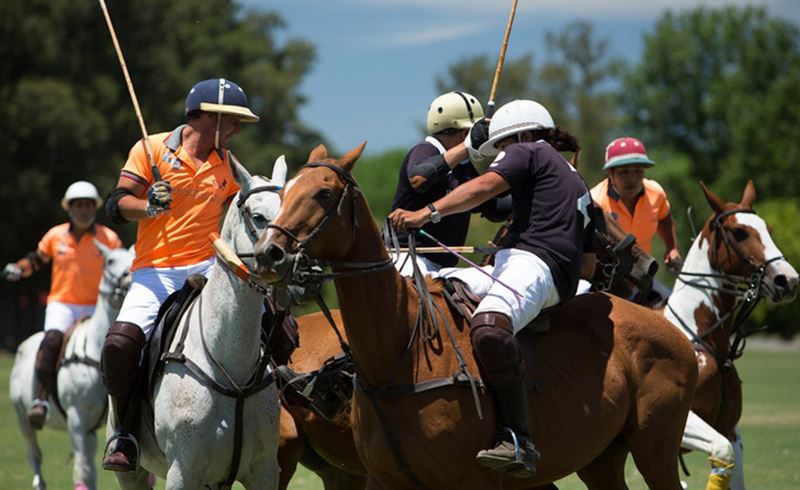 Lo que debes saber sobre el Polo