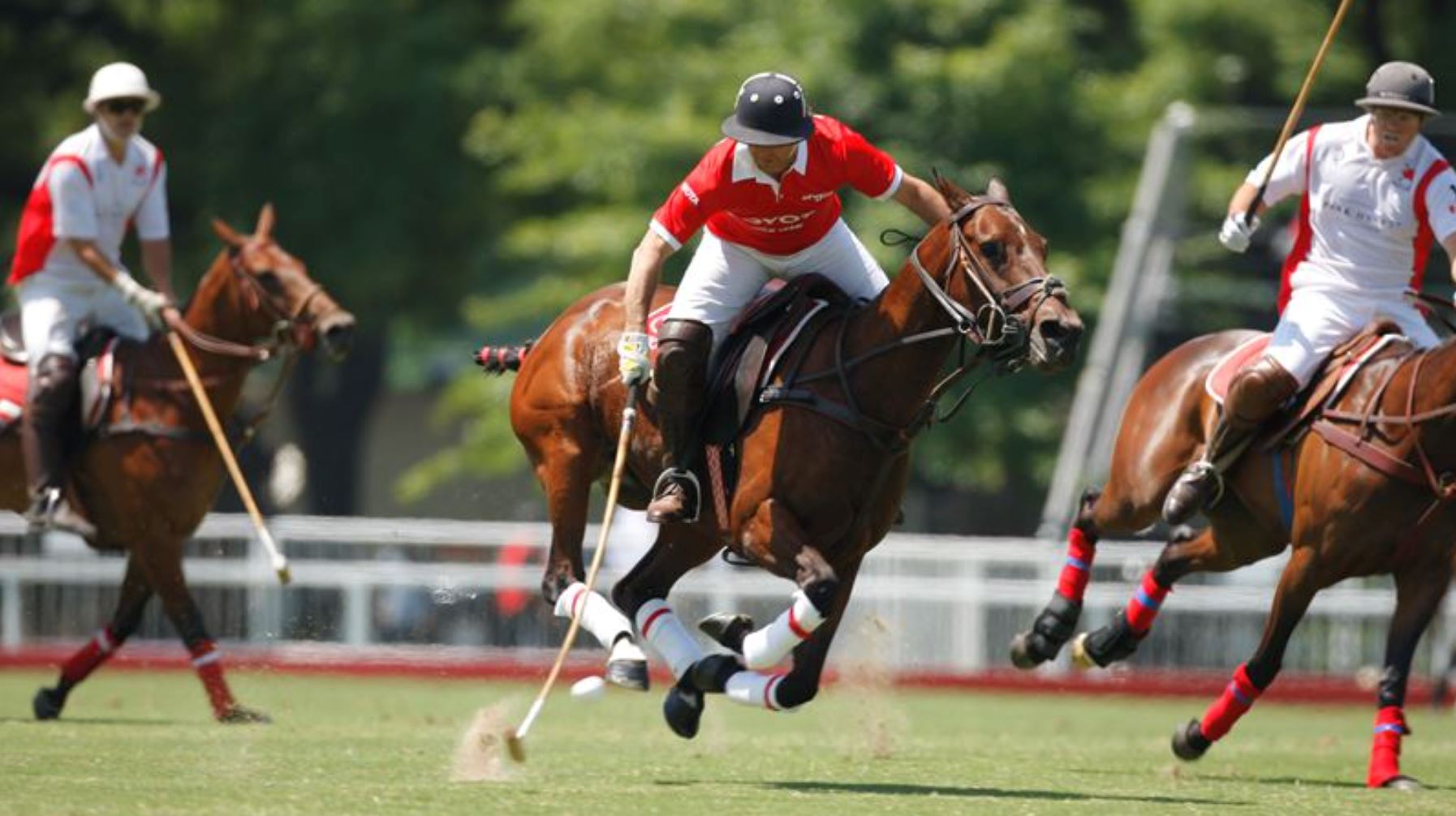 Dónde aprender, jugar y ver Polo en Argentina